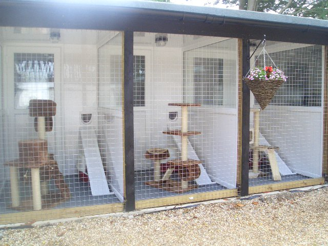 Gatehouse luxury Boarding Cattery Bournemouth Poole Ferndown Ringwood ...